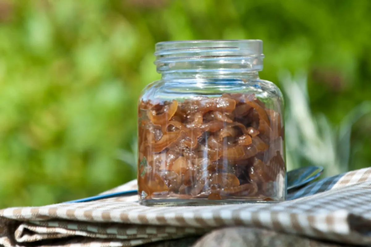 Kotitekoinen sinappi ohje | Snellmanin reseptit